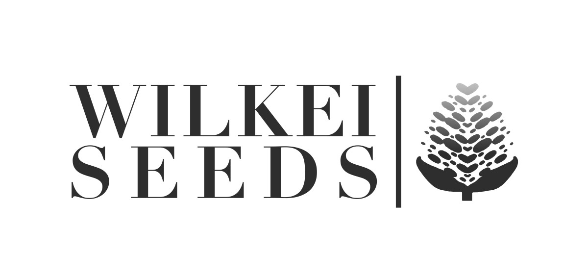 Wilkei Seeds – Your local seed buyers and sellers